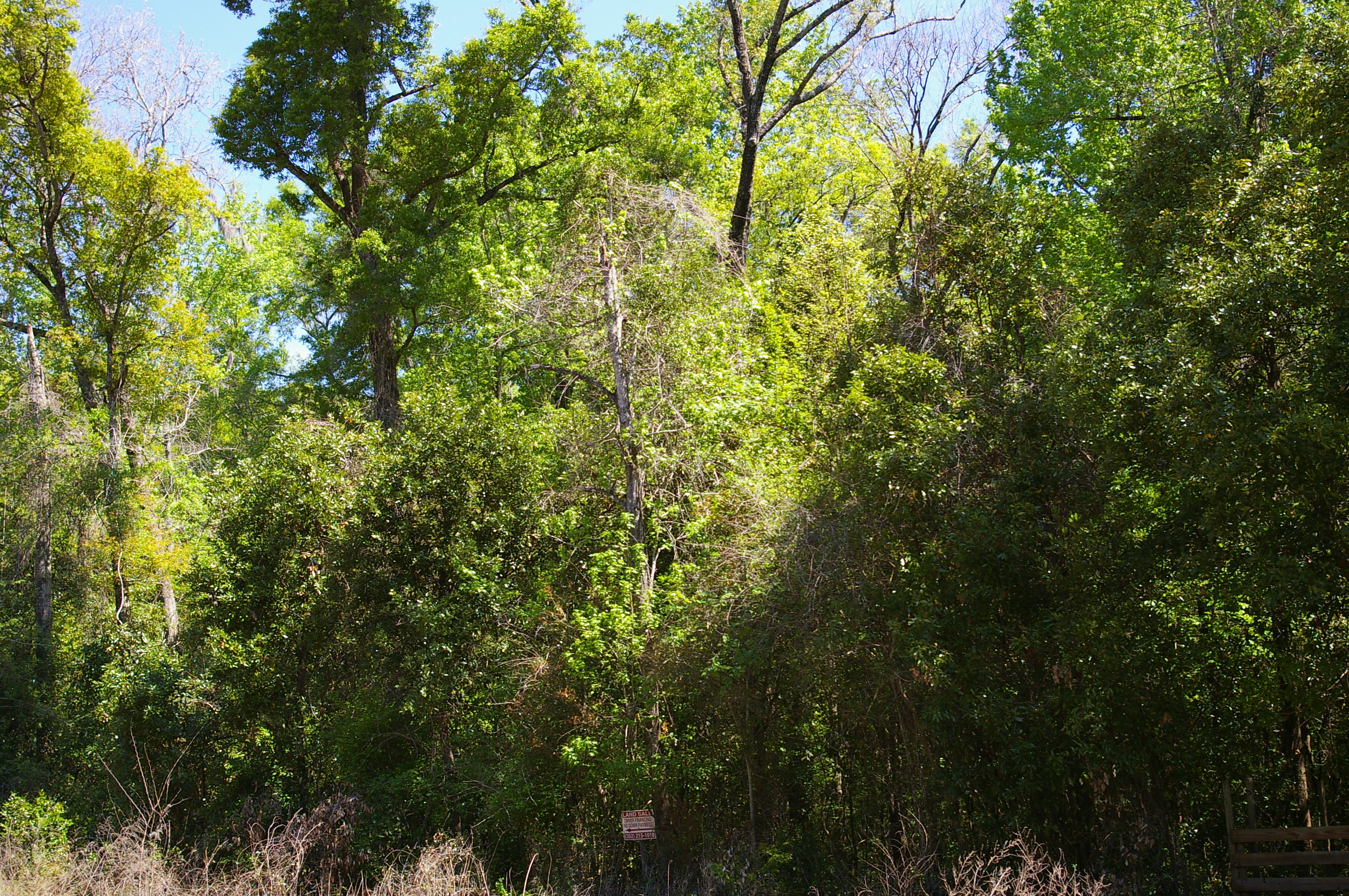 Three Rivers Estates Land For Sale at Margaret Sigler blog